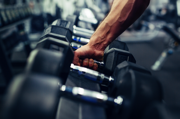 A Beginner’s Guide to Using Gym Equipment | Vital Proteins