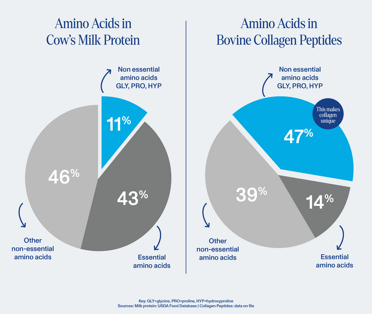 Amino Acids - Vital Proteins