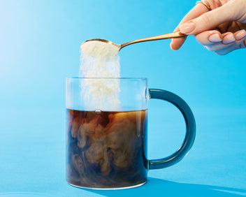 Collagen Creamer - Collagen Creamer Powder for Coffee | Vital Proteins