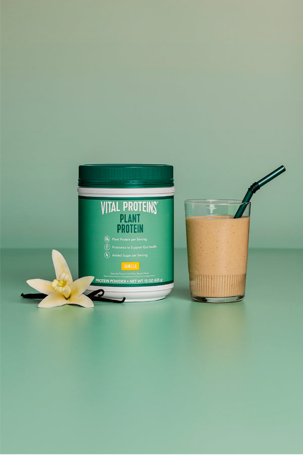 Vanilla Plant Protein Powder | Vital Proteins®