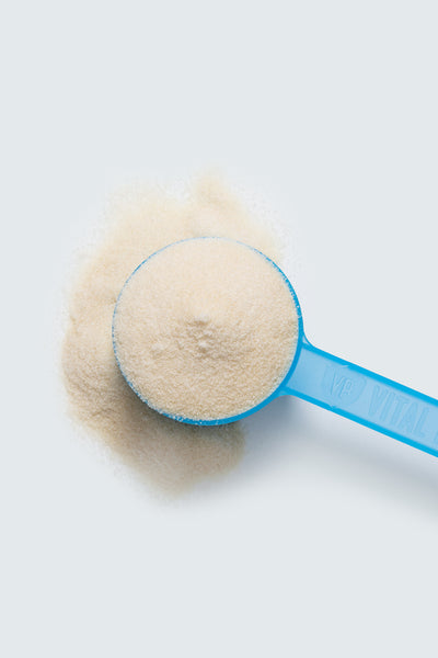 Collagen Powders - Unflavored & Flavored Collagen Powder | Vital Proteins